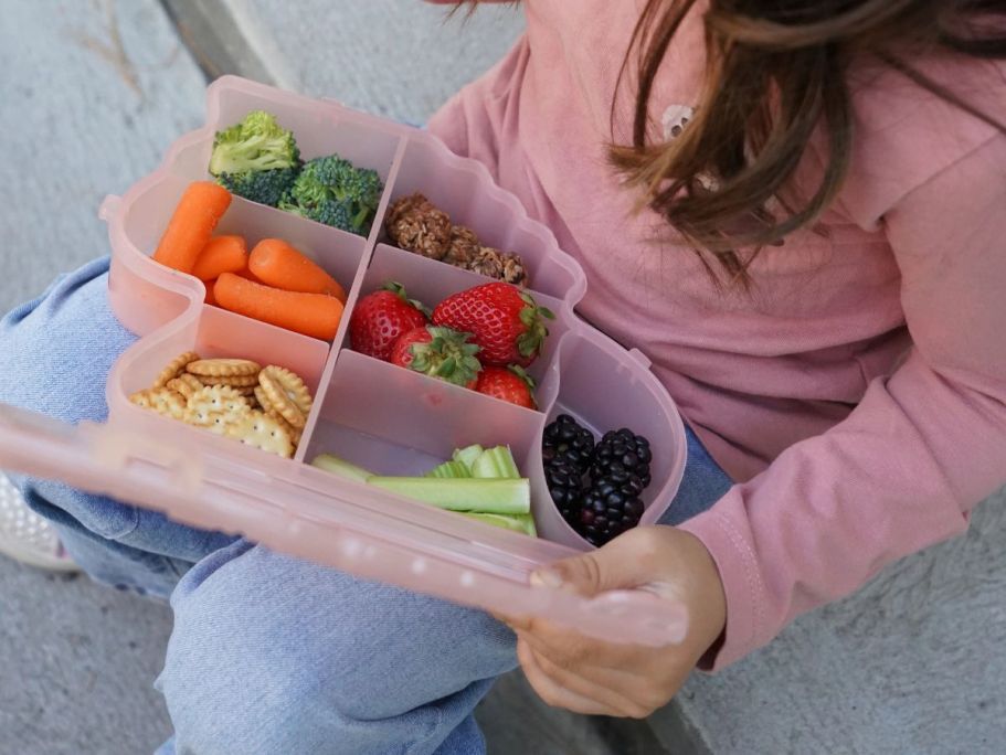 Animal-Shaped Snackle Boxes Only $8.97 on Walmart.com | Hip2Save