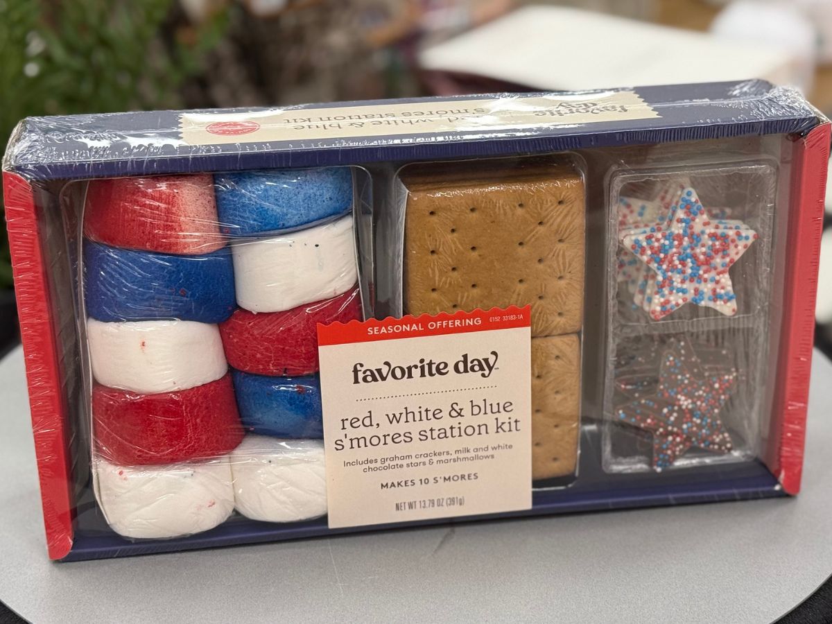 NEW Favorite Day S'mores Kits Just $10 at Target (+ More Fun Summer ...