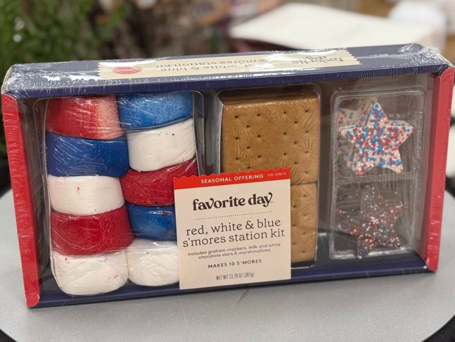 NEW Favorite Day S'mores Kits Just $10 at Target (+ More Fun Summer ...