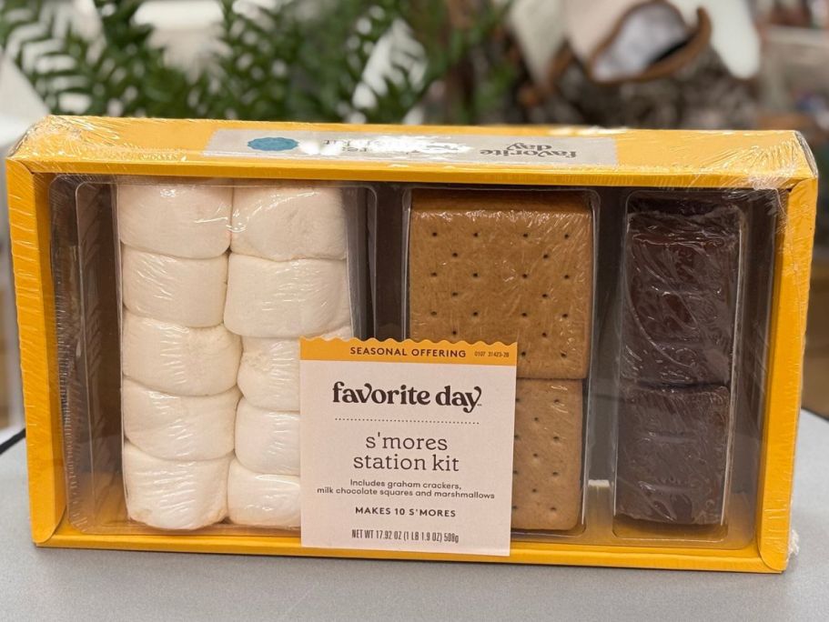 NEW Favorite Day S'mores Kits Just $10 at Target (+ More Fun Summer ...