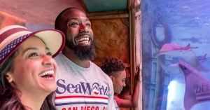 Get FREE SeaWorld Military Tickets Through Waves Of Honor