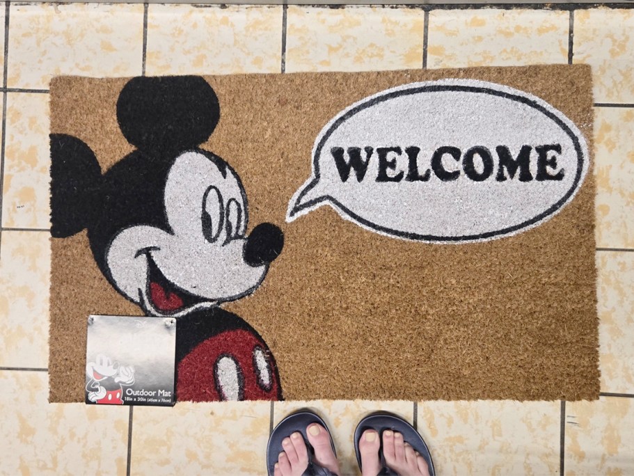 New ALDI Weekly Finds | Disney Pillows, Apparel, & More | Hip2Save