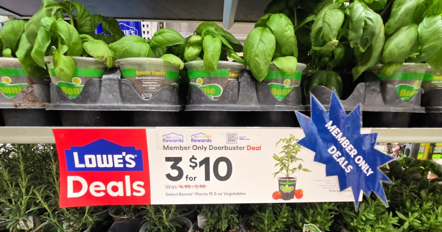 My Lowes Rewards Program Coupons and Discounts for Members