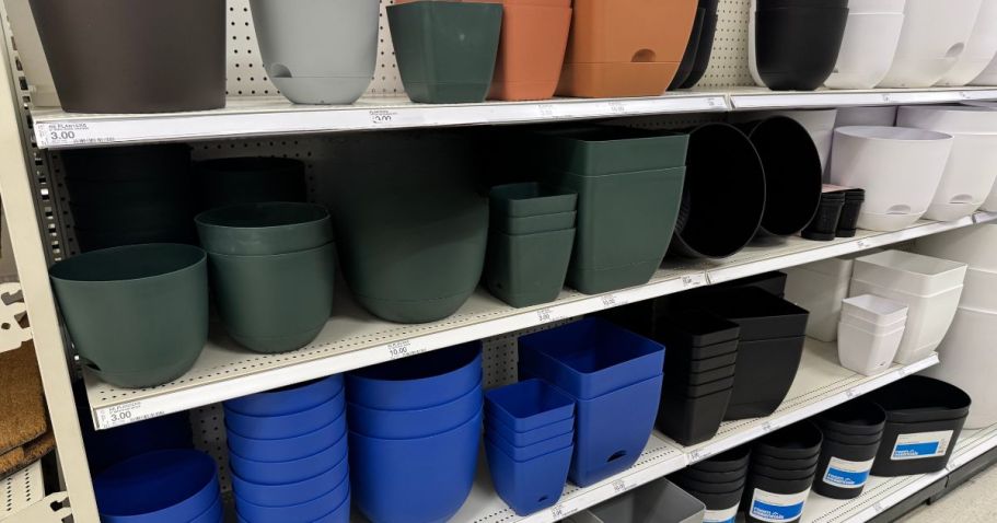 I Tried and LOVED Target's Popular Self-Watering Planters