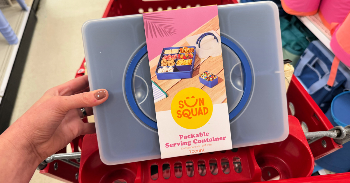 New Snackle Boxes Just $10 at Target | Perfect for Beach Days & Road ...