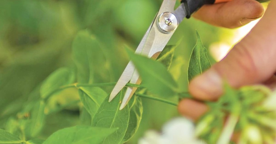 College Survival Kit Ideas with Dollar Tree Items | Hip2Save