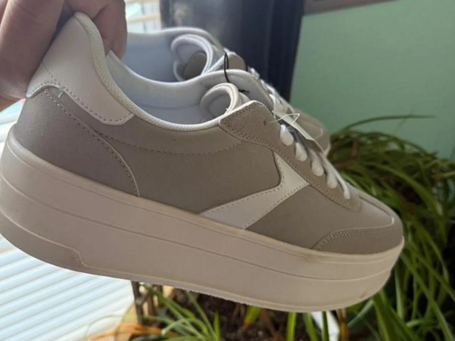 Teachers Can Get A FREE Colgate Classroom Kit for Students