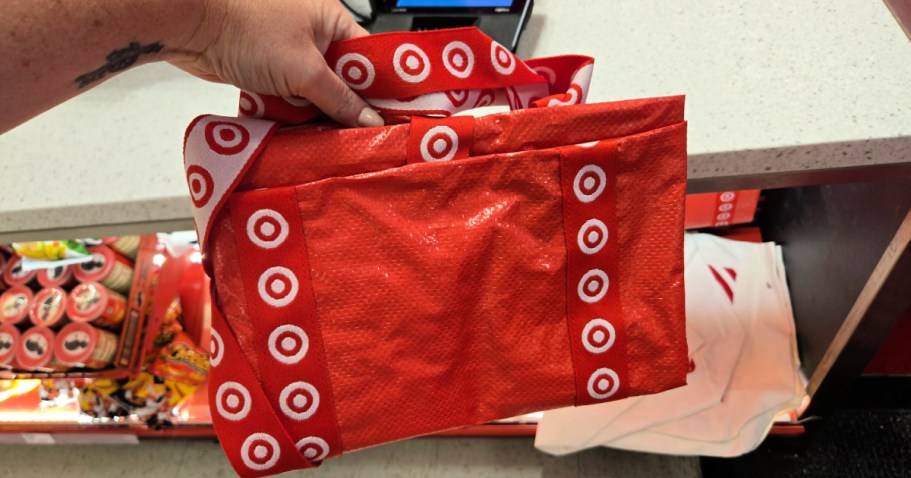 New $3 Target Reusable Bags Just Dropped – The Plaid Print Is a Must ...