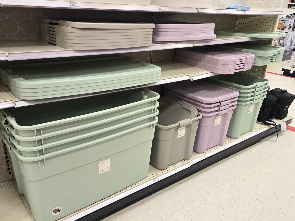 Target Brightroom Storage Sale | Organization Solutions from $1! | Hip2Save