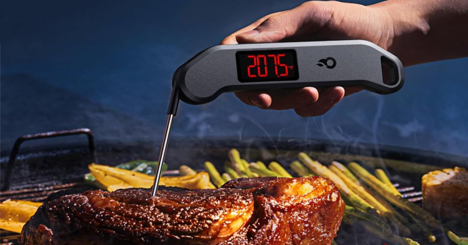 Digital Meat Thermometer Only $7.99 on Amazon | Great for Summer ...