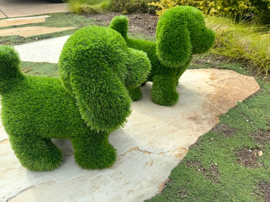 Fun Animal-Shaped Topiaries Only $29.98 for Lowe's Rewards Members (Reg ...
