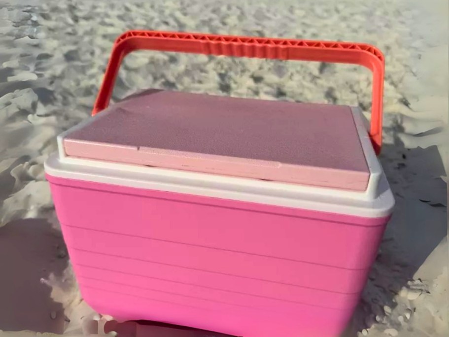 30% Off Target Sun Squad Coolers | Hard-Sided 14-Can Cooler Only $7 ...