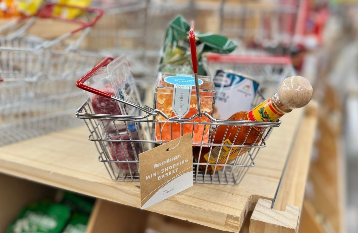 World Market Minis Make the Perfect Gift! | Hip2Save