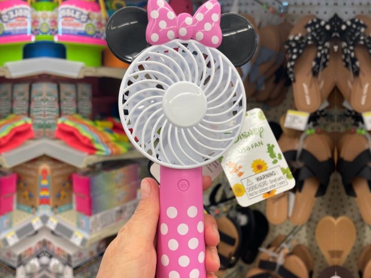 Disney Theme Park Fans Only $8.99 – Going Fast at Walgreens! | Hip2Save