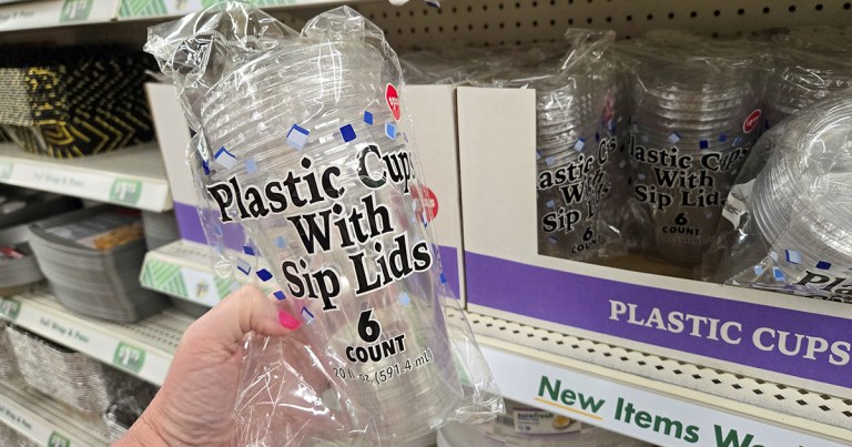 We Finally Found the Viral Dollar Tree Sip Cups! | Hip2Save