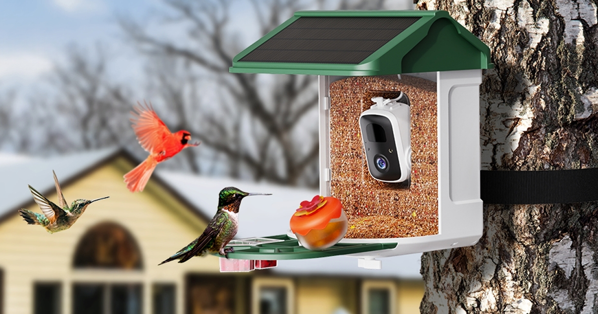 Solar-Powered Smart Bird Feeder Only $53.99 Shipped for Prime Members ...