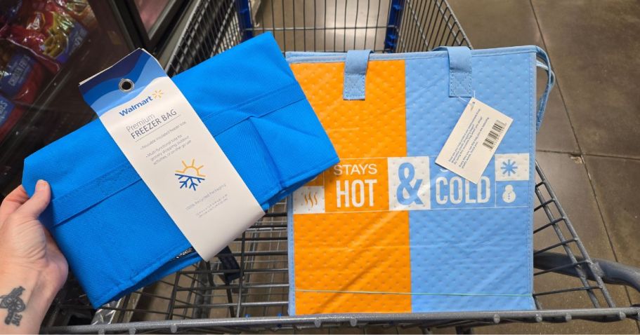 Insulated Bags from Just $2.97 at Walmart | Perfect for Grocery Pickups ...