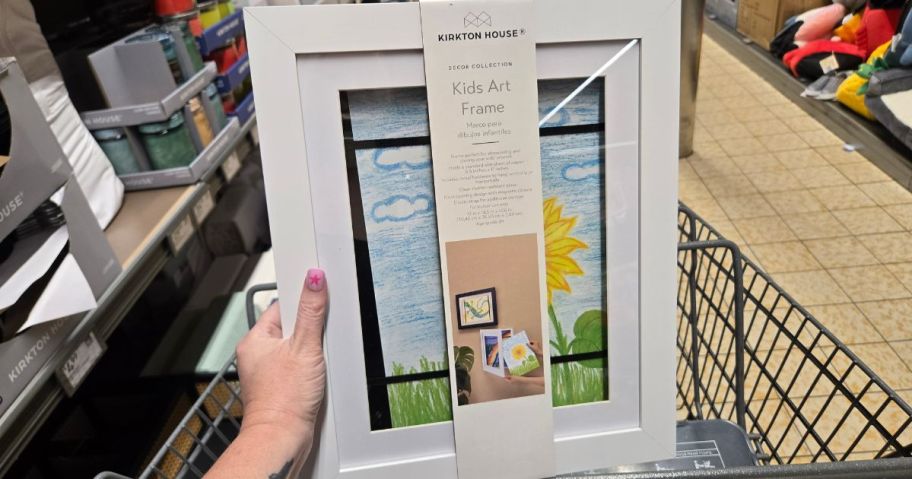 Look What We Spotted This Week at ALDI: Hanging Chair, Dorm Essentials ...