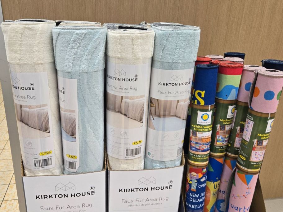 Look What We Spotted This Week at ALDI: Hanging Chair, Dorm Essentials ...