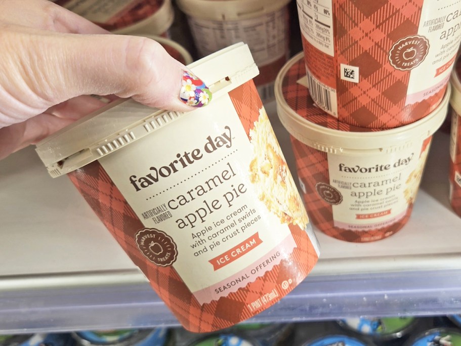 NEW Favorite Day Fall Treats Spotted at Target (Ice Cream, Cheesecake ...