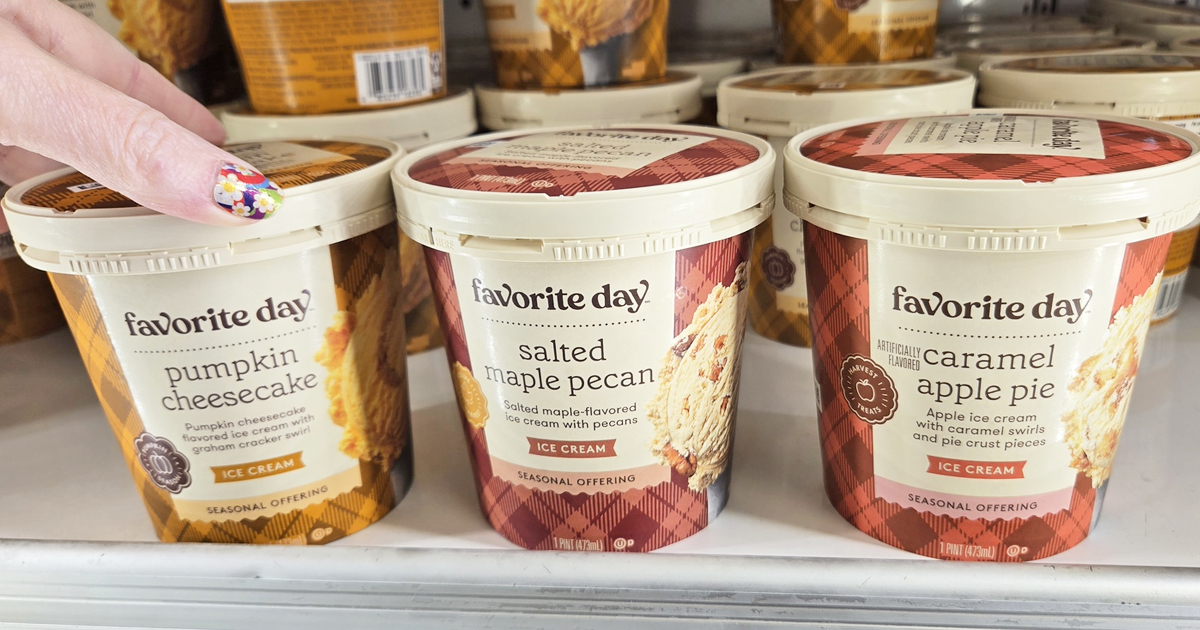 NEW Favorite Day Fall Treats Spotted at Target (Ice Cream, Cheesecake ...