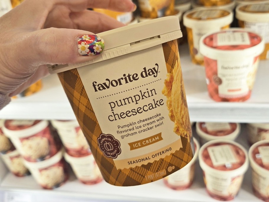 NEW Favorite Day Fall Treats Spotted at Target (Ice Cream, Cheesecake ...