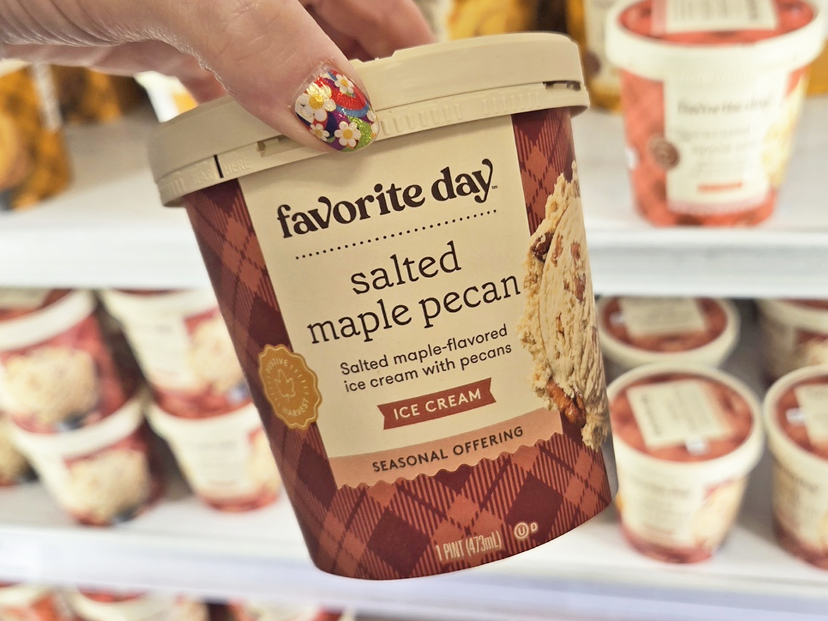 NEW Favorite Day Fall Treats Spotted at Target (Ice Cream, Cheesecake ...