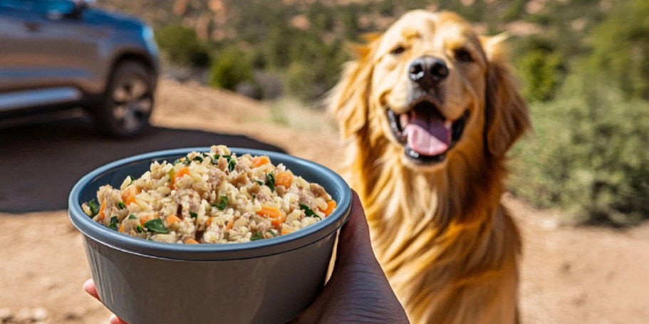 FREE JustFoodForDogs Dog Food Tasting at Petco Today! | Hip2Save