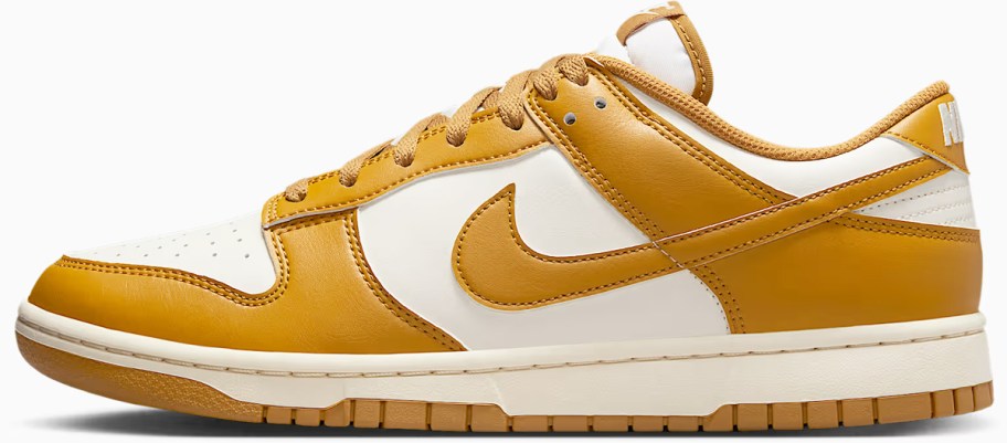 Up to 40% Off Nike Dunks | Styles from $69.97 Shipped (Reg. $115 ...