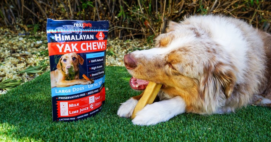 Up to 50% Off Himalayan Yak Chews for Dogs on Amazon (Rawhide ...