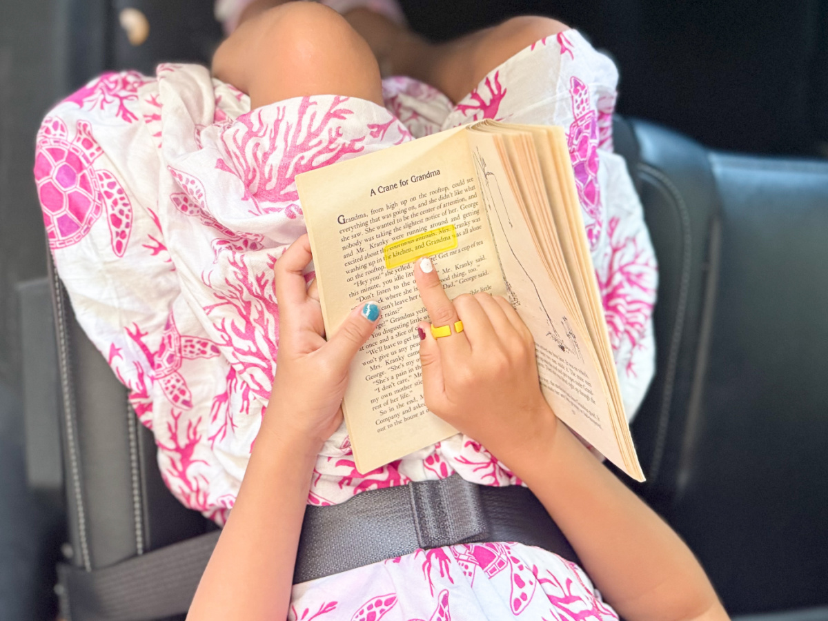 Guided Reading Strips 12-Pack Just $8.54 Shipped for Prime Members ...
