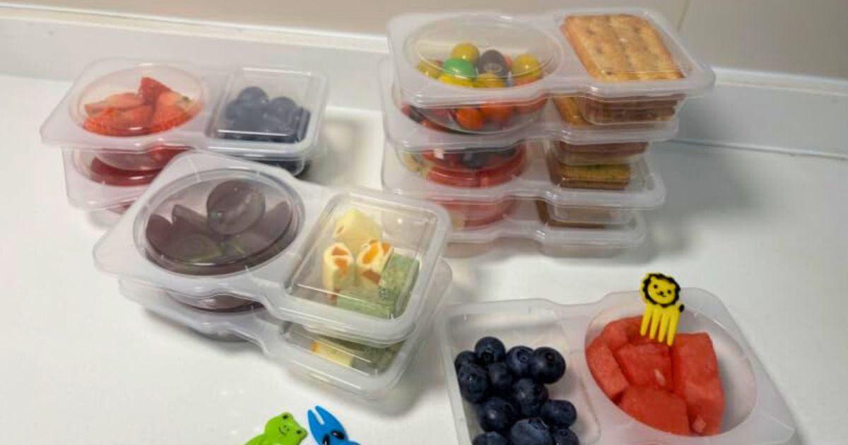 Snack Containers 24-Piece Set Only $8.54 Shipped for Amazon Prime ...