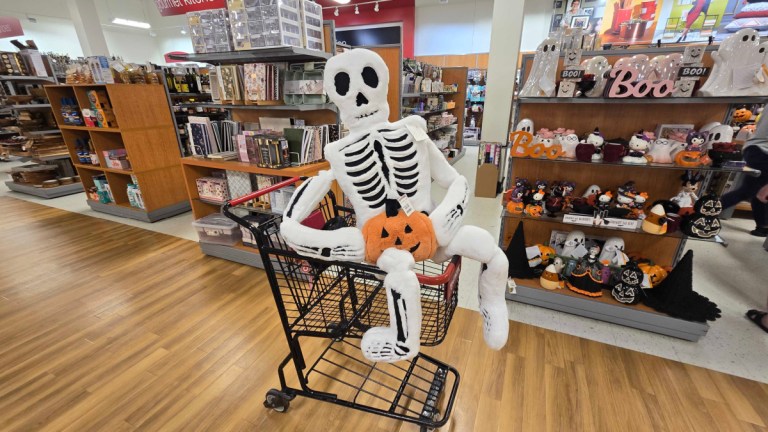Tjmaxx Halloween Decor Finds Life Size Skeleton Pillows Drinkware