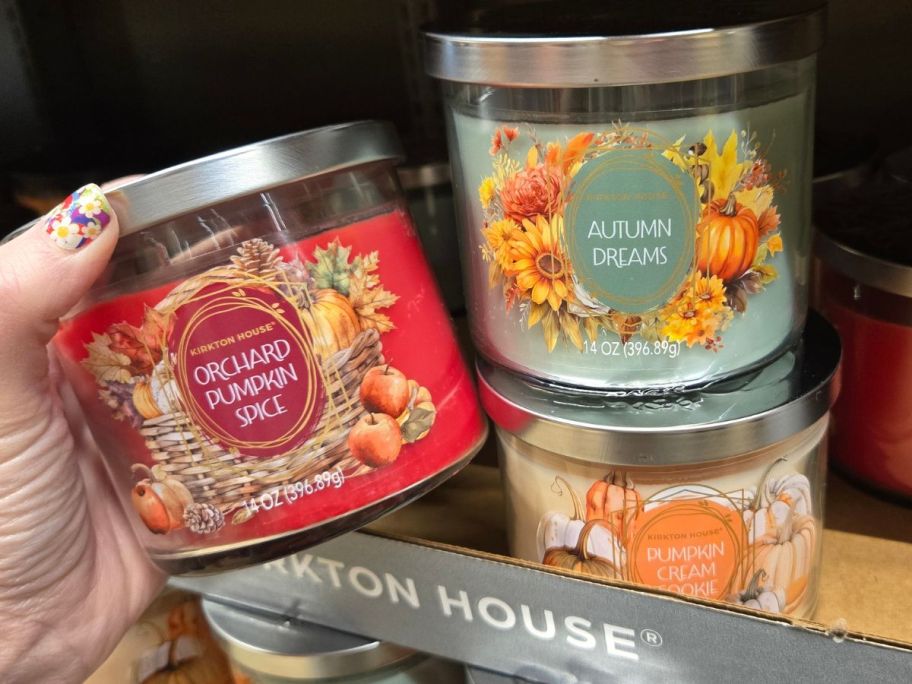 New ALDI Weekly Finds: Fall Home Decor from $2.99! | Hip2Save
