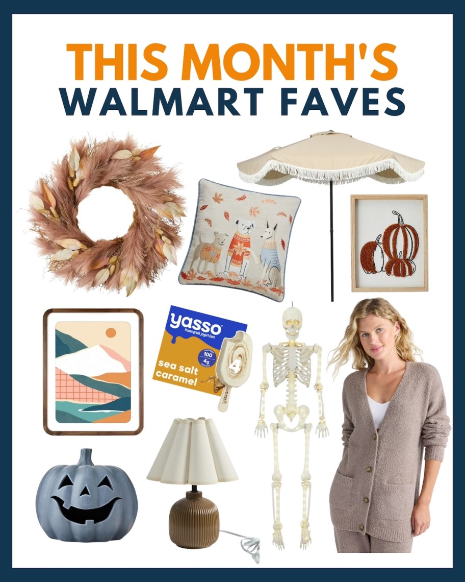 The Best Things to Buy at Walmart This Month | Hip2Save