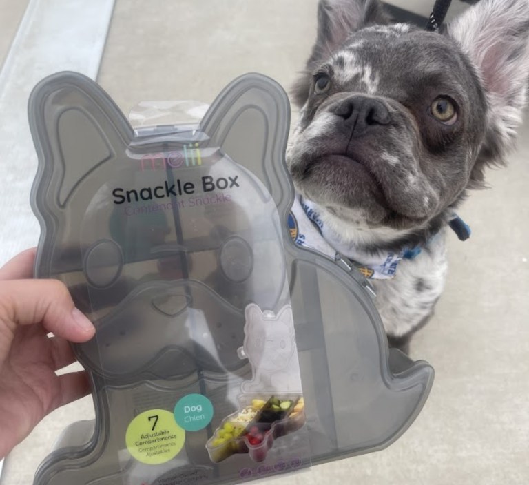 Walmart Animal-Shaped Snackle Box Just $4.50 | Dog, Dino, Unicorn ...