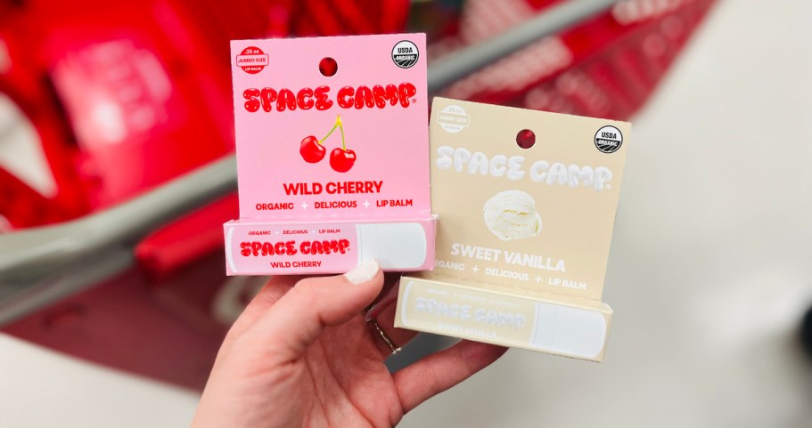 Best Things to Buy at Target Right Now | Hip2Save