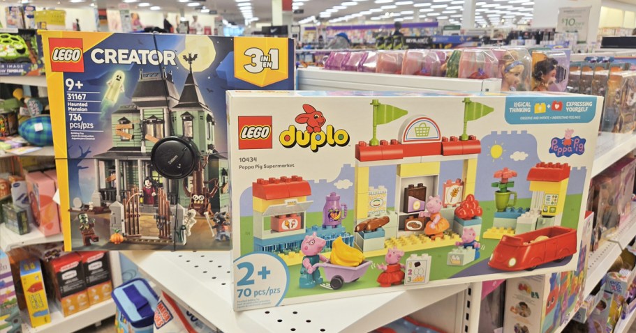 Turn Old LEGOs Into Cash: Get $4 Per Pound! | Hip2Save