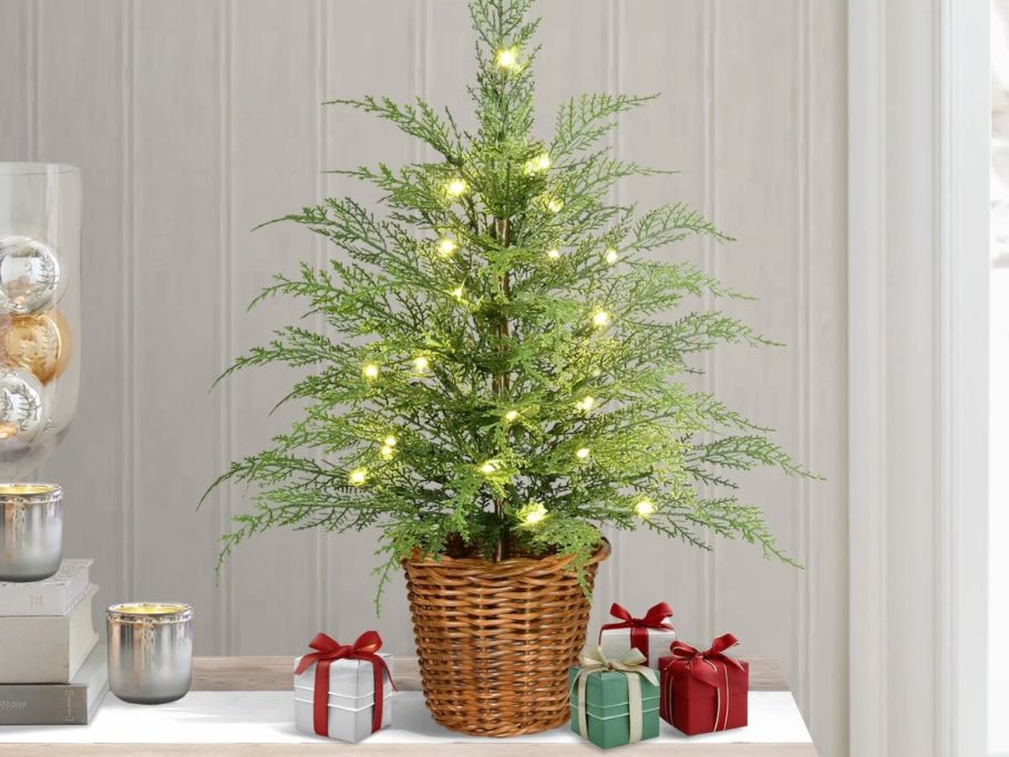 The Viral Texas House Tree Is Back in Stock (But ALREADY Selling Out ...
