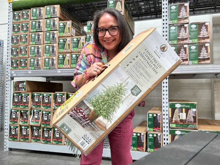 The Viral Texas House Tree Is Back in Stock (But ALREADY Selling Out ...