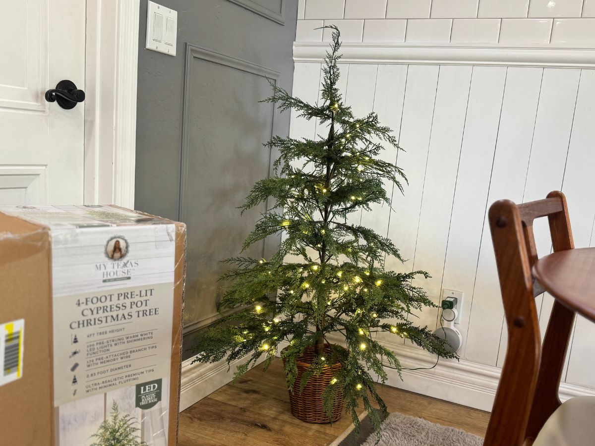 The Viral Texas House Tree Is Back in Stock (But ALREADY Selling Out ...