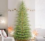 The Viral Texas House Tree Is Back in Stock (But ALREADY Selling Out ...