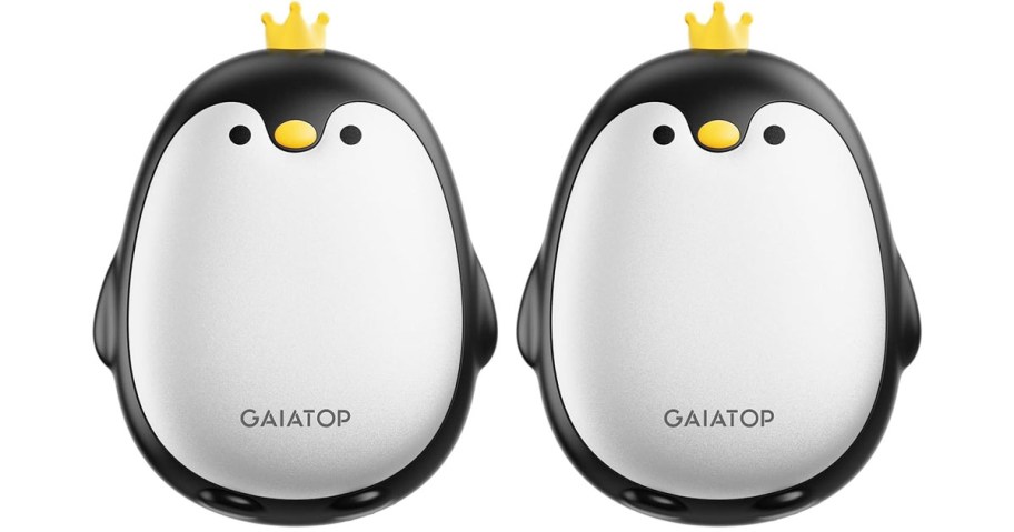 The Cutest Rechargeable Hand Warmers Are Under $10 on Amazon | Hip2Save