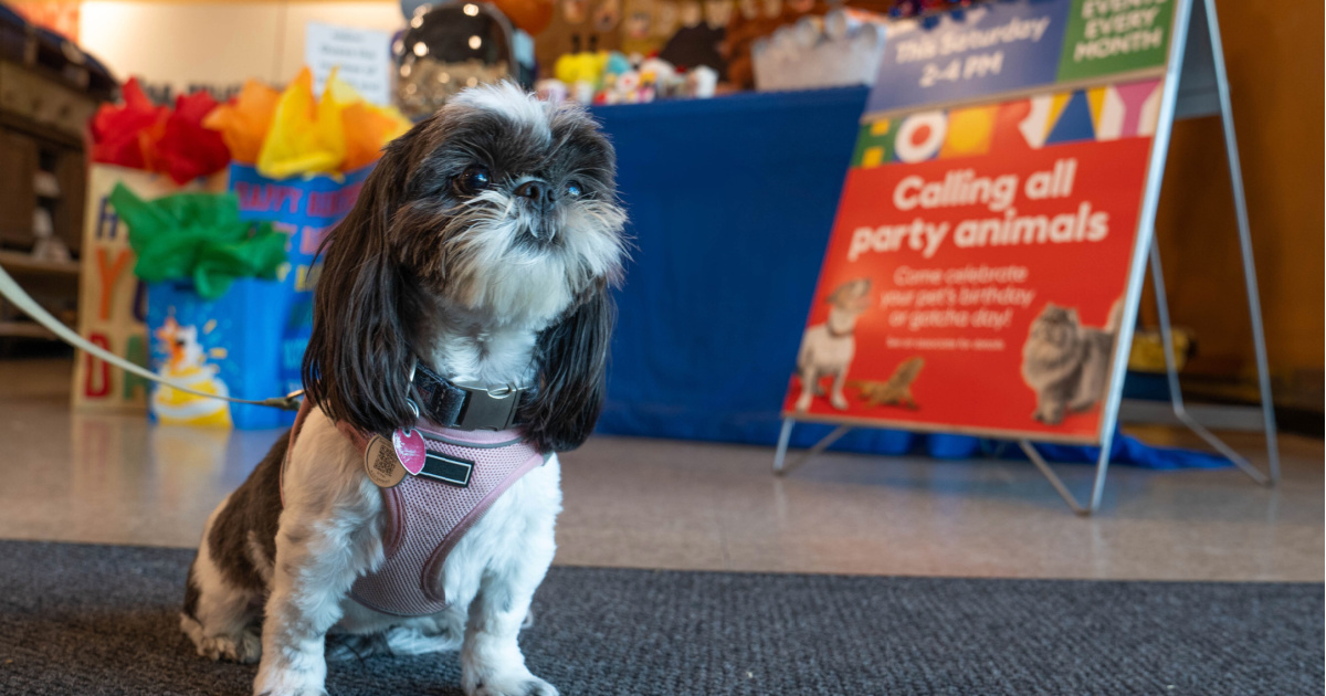 FREE Pet Birthday Parties Every Month at PetSmart = Treats + $5 Off ...