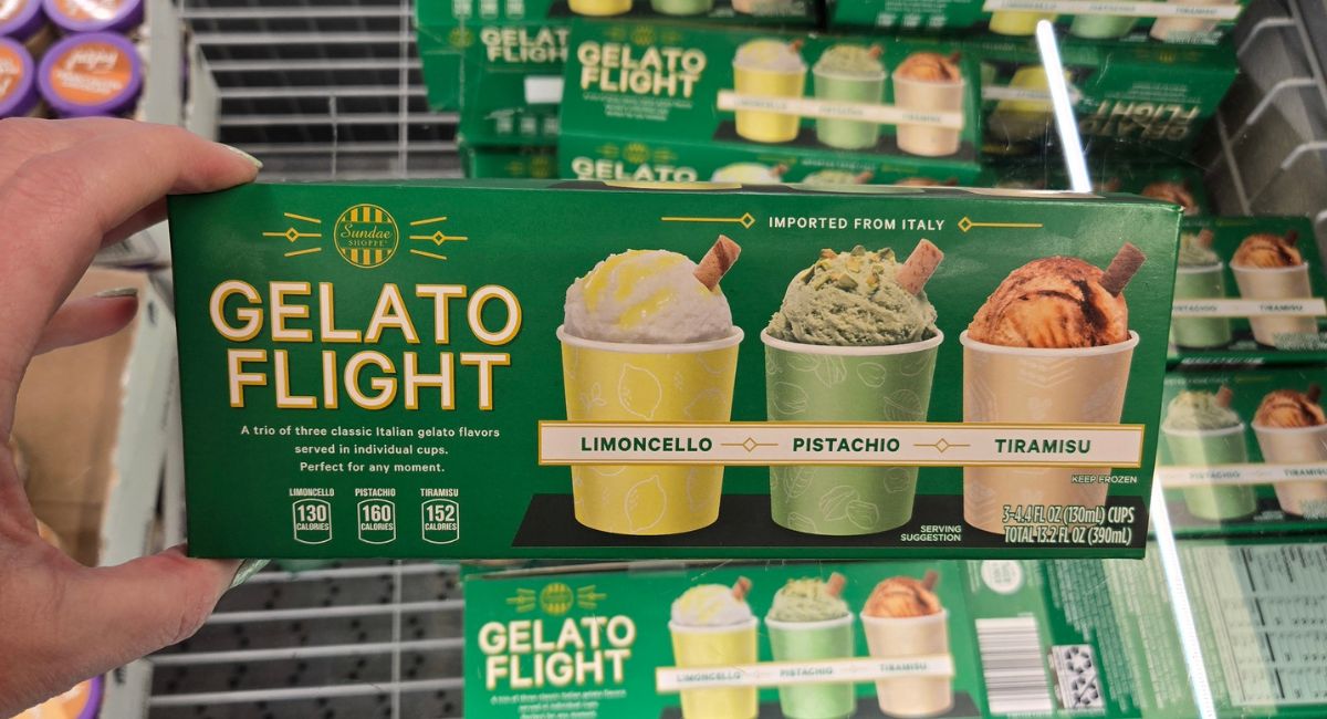 New Fall ALDI Grocery Finds: Italian Gelato Flight Trio, Mascarpone ...