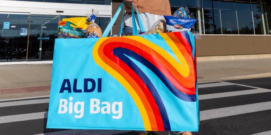 ALDI to Open More Than 225 New Stores Nationwide This Year | Hip2Save