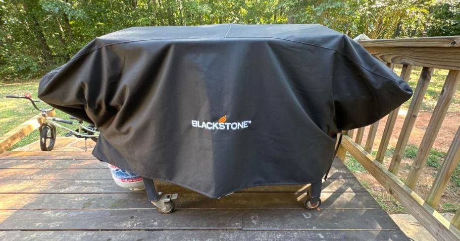 Target Storage Bins & Totes from $3 (Including Ornament Storage) | Hip2Save