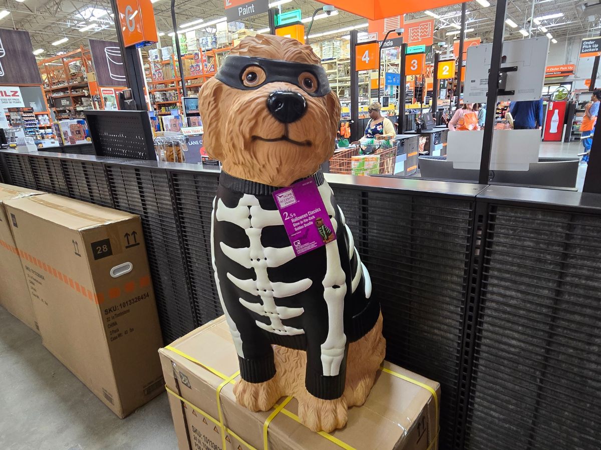 Home Depot Has the Cutest Halloween Blow Molds | Hip2Save