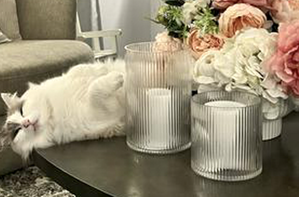 Up to 60% Off Better Homes & Gardens Decor | Ribbed Glass Candle Holder ...
