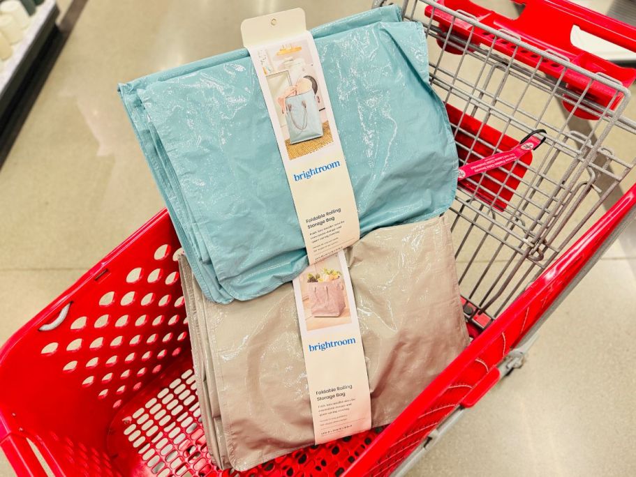 Target Storage Bins & Totes from $3 (Including Ornament Storage) | Hip2Save